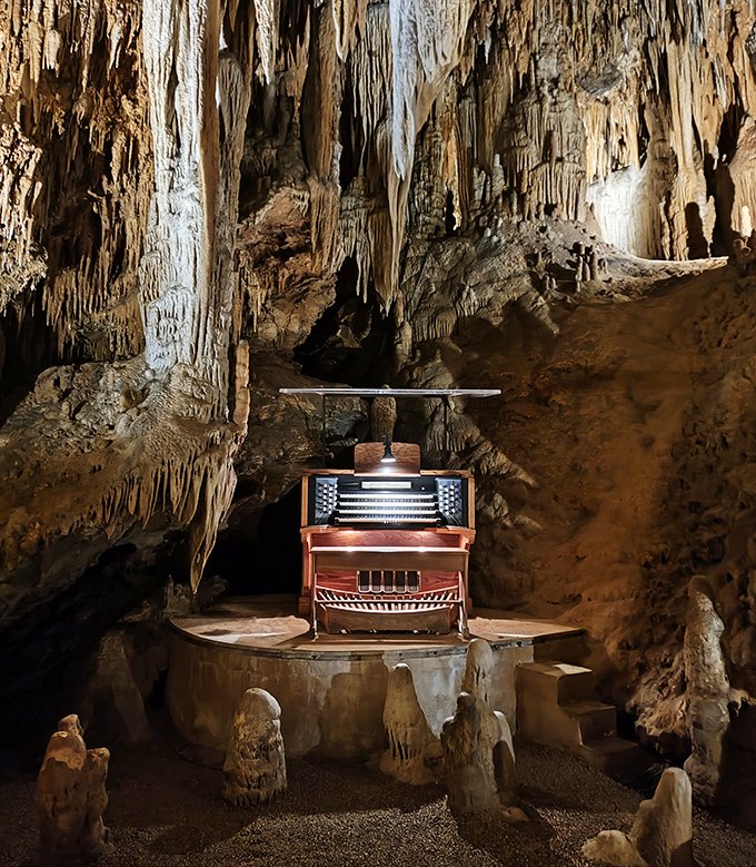 Nature's cathedral ceiling drips with geological chandeliers, each one a testament to water's patient artistry over countless millennia.