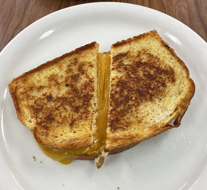 Grilled cheese perfection that would make your childhood self high-five your adult self. That golden-brown exterior and melty center is what sandwich dreams are made of.