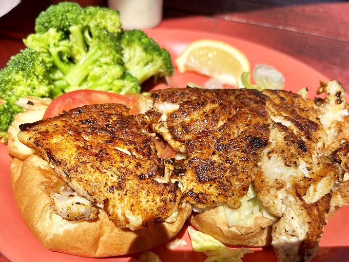 The blackened grouper sandwich in all its glory! Perfectly seasoned fish on a pillowy bun with fresh veggies&mdash;this is why people move to Florida.