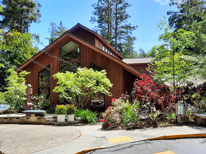 The Gualala Arts Center emerges from the redwoods like a wooden cathedral dedicated to creativity rather than convention.