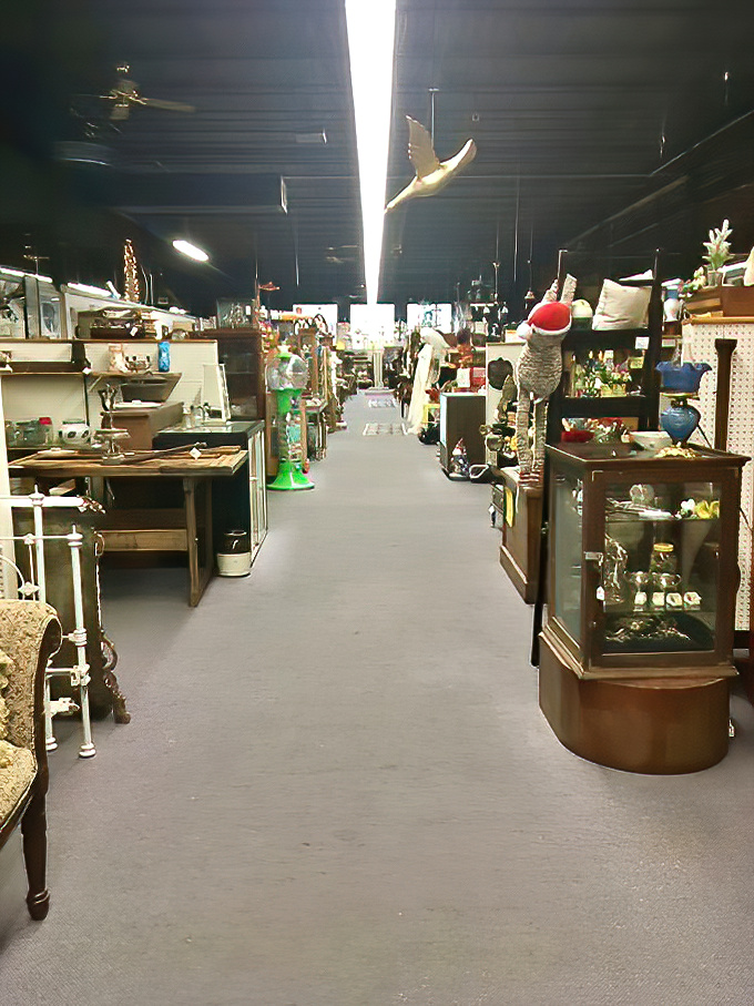 Aisles that stretch like highways through time. One wrong turn and suddenly you're surrounded by more lamps than Thomas Edison ever imagined.