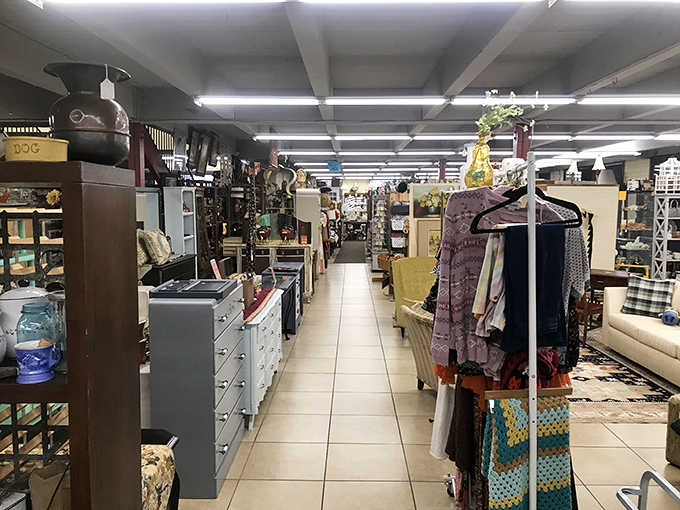 Aisles stretch into infinity, each turn revealing new possibilities. Like life before smartphones, the journey here matters more than the destination.