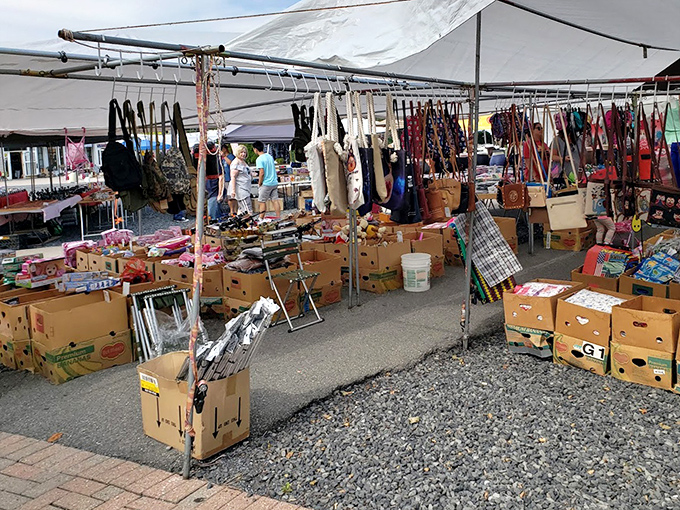 Tent shopping at its finest. Cardboard boxes become retail displays under canvas canopies, where bargain hunters sift through merchandise with archaeological precision.