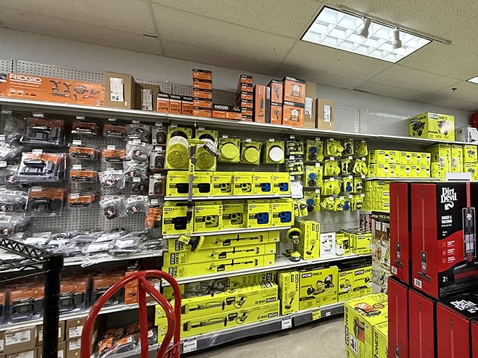 Tool paradise for the DIY enthusiast. Where neon yellow meets orange in a hardware symphony that whispers, "Yes, you can fix that."