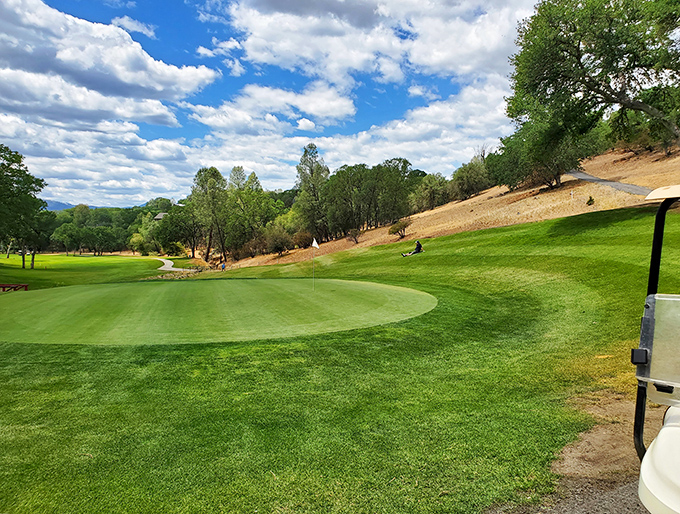Golf heaven where your slice might be terrible, but the scenery is always under par. Those oak trees have witnessed countless "almost hole-in-ones."