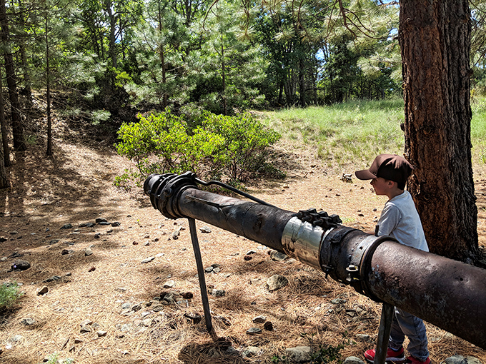 History comes alive at this preserved mining equipment display. Who knew industrial artifacts could make such fascinating roadside attractions?