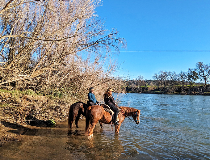 Horseback riding along the Sacramento River offers that rare "am I in a Western movie?" moment. No stunt doubles required.