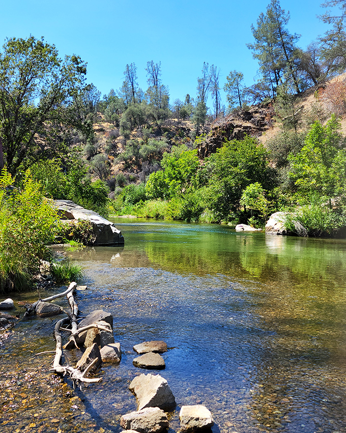 Crystal clear waters invite contemplation at nearby preserves, where nature provides better therapy than anything you'd find scrolling through your phone.