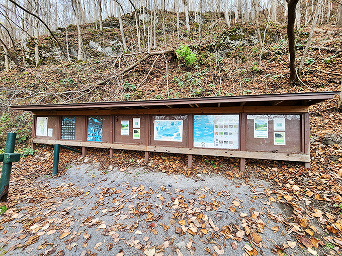 Information central! Where park rangers answer the eternal question: "What exactly am I looking at?" with colorful maps and wildlife guides.