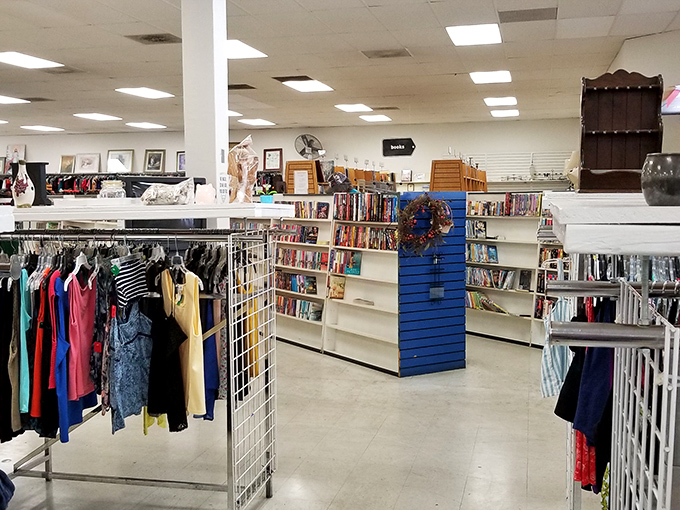 Inside, the organized chaos reveals itself. Books, clothing, and housewares coexist in a carefully curated landscape of second chances.