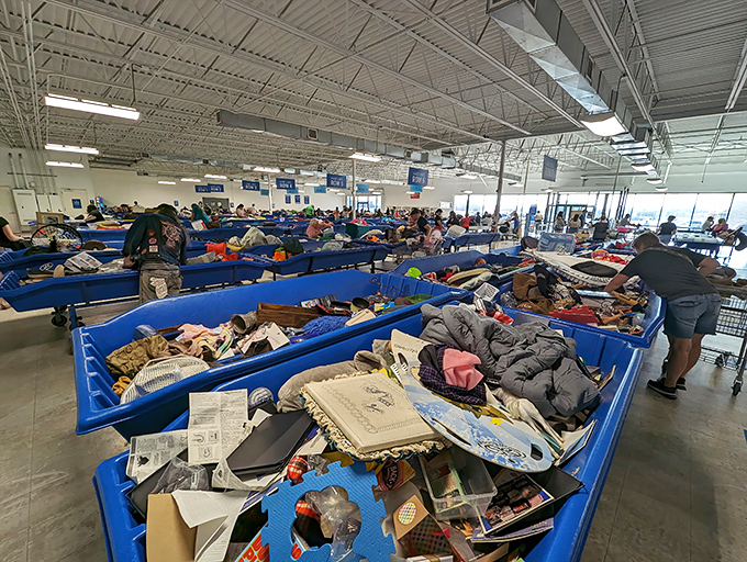 Welcome to the blue bin jungle, where treasure hunters wade through textile rivers in search of that elusive designer label hiding beneath last season's holiday sweaters.