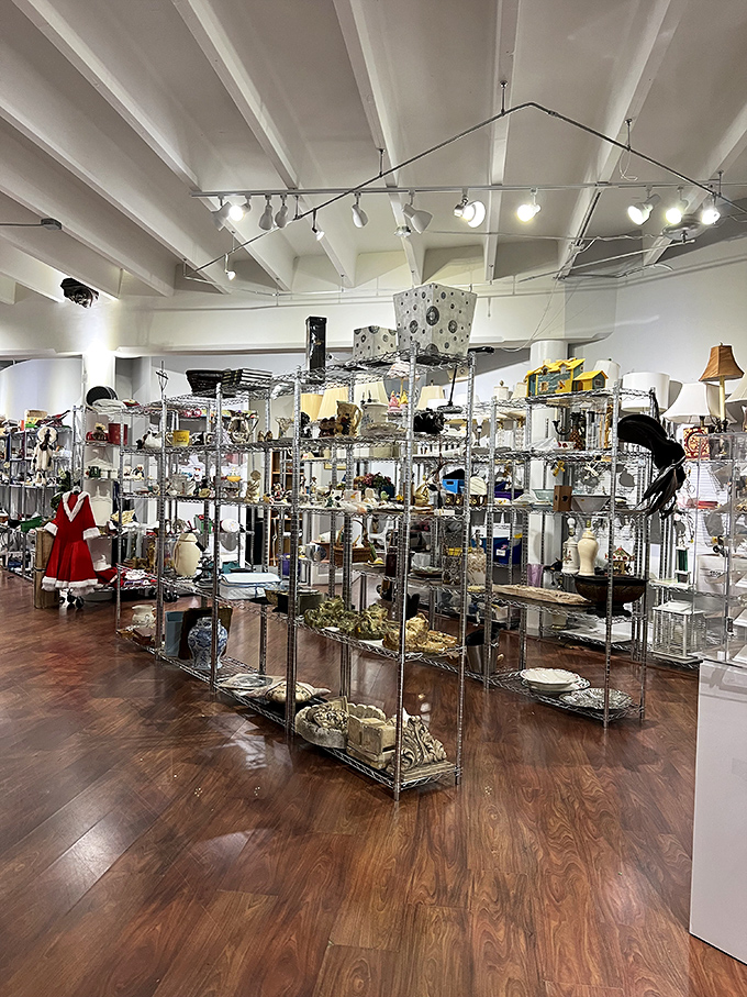 Step inside and the real magic begins—gleaming metal shelves create a labyrinth of potential discoveries waiting for the right explorer.