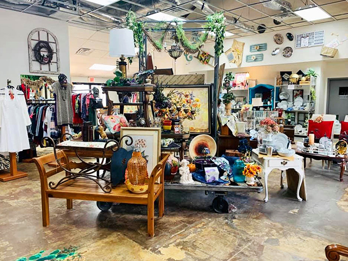 Decorator heaven awaits inside, where vintage charm meets modern bargain hunting in a carefully curated wonderland of possibilities.
