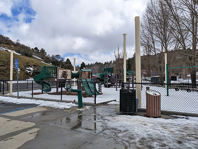 Winter transforms Julian's playground into a wonderland where California kids get their rare chance to build snowmen.