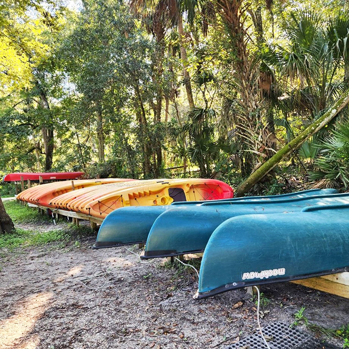 The park's colorful kayak lineup &ndash; like a candy store for adventure-hungry adults who've outgrown theme park lines.
