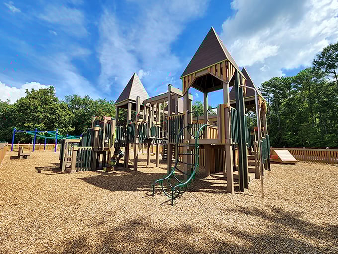 Kidsville Playground stands ready for adventure, a wooden kingdom where childhood imagination reigns supreme and adults secretly wish they could still fit down the slides.