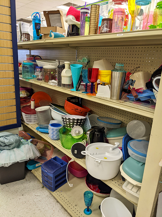 Kitchen gadget paradise where colorful containers and forgotten utensils find new purpose. One person's abandoned ice cream maker is another's culinary revelation.