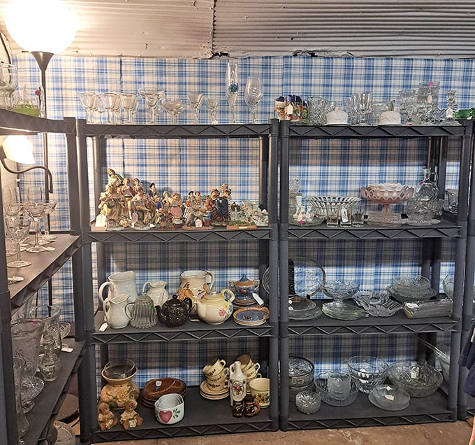 Grandma's china cabinet exploded, and somehow everything landed perfectly on these shelves. That blue plaid backdrop? Pure Midwestern charm.