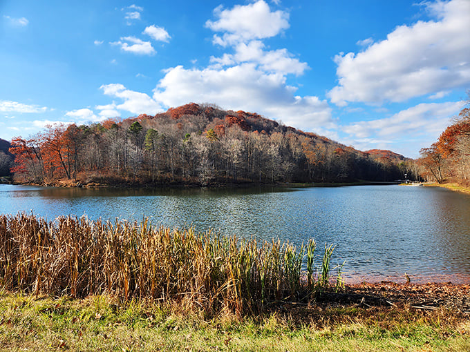Fall's fiery display transforms Pine Lake into a painter's palette. The water captures every golden and crimson hue like nature's own high-definition mirror.