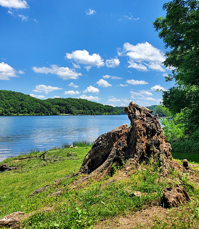 Lake Logan's serene waters reflect both clouds and retirement dreams, offering peaceful shorelines for contemplation and fishing spots aplenty.