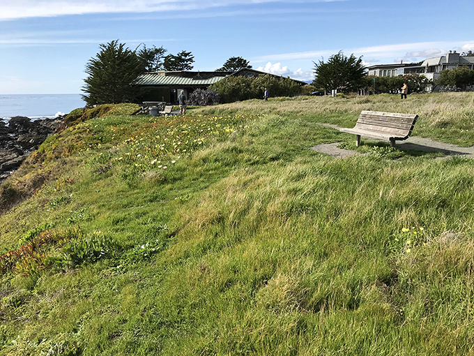A bench with the best view in town. At Lampton Cliff Park, even the seagulls seem to pause mid-flight to admire the scenery.
