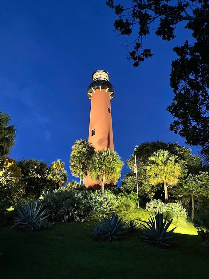 As twilight embraces Jupiter, the lighthouse transforms from daytime guardian to evening enchanter, its illuminated presence pure magic against the darkening sky.