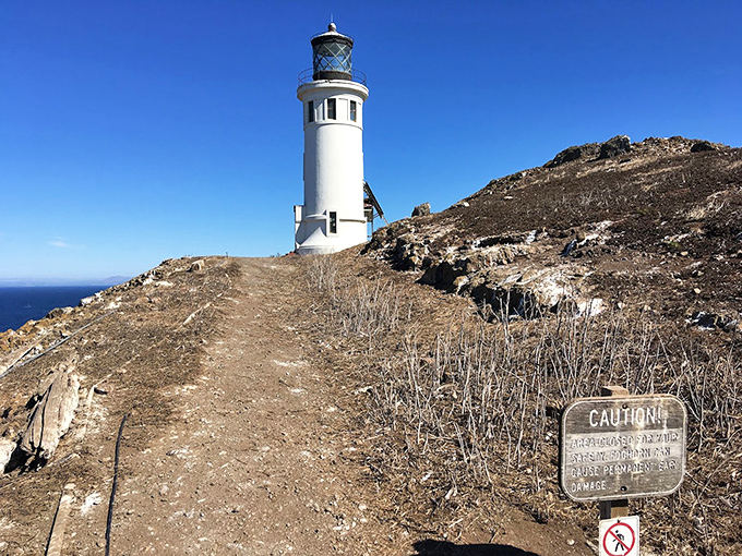 The path less traveled leads to greater rewards—in this case, a pristine white lighthouse that seems to rise organically from the island's rugged terrain.