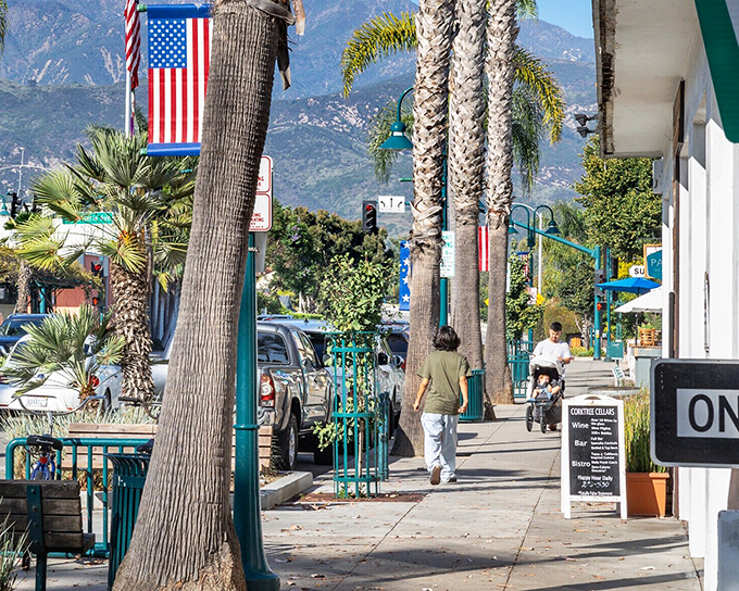 Palm-lined Linden Avenue, where the mountains provide dramatic backdrop to everyday errands. Even grocery shopping feels like a vacation when this is your main street.