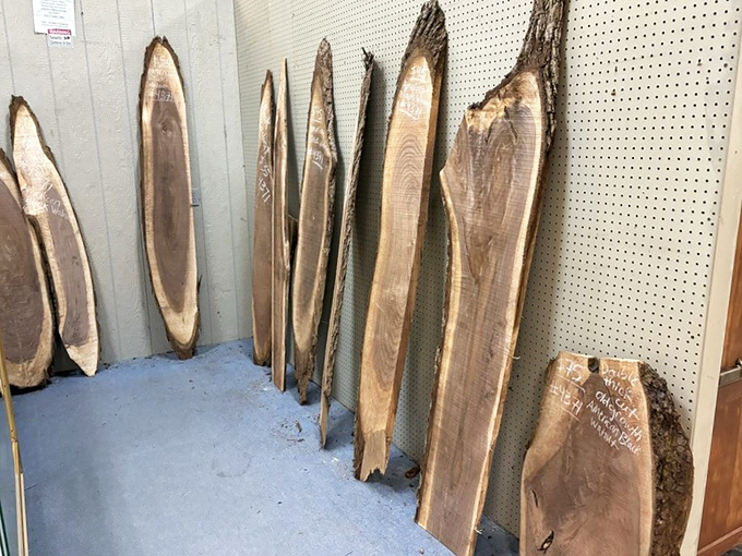 Nature's artwork waiting for its second act &ndash; these live edge wood slabs hold more stories than a library and more potential than a lottery ticket.