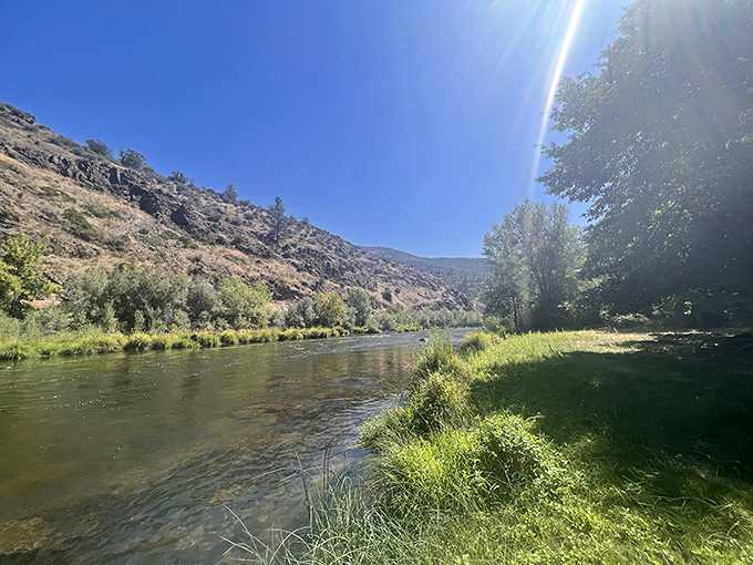 A peaceful stream meanders through the landscape, offering the kind of natural soundtrack that expensive meditation apps try desperately to replicate.