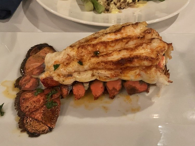 Behold the lobster that could make a Maine fisherman weep tears of pure, unadulterated joy and envy.