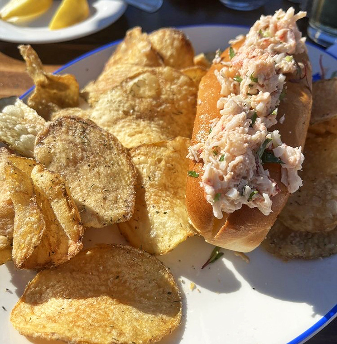 Behold the star attraction: chunks of sweet lobster nestled in a golden brioche cradle, with chips standing guard nearby.