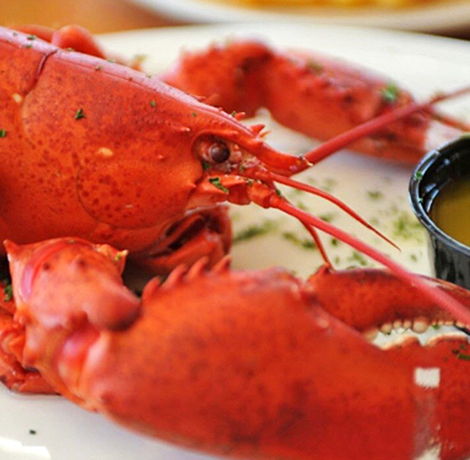 Behold the star attraction &ndash; a perfectly cooked lobster, resplendent in its crimson glory, waiting to prove that Pennsylvania can indeed do Maine proud.
