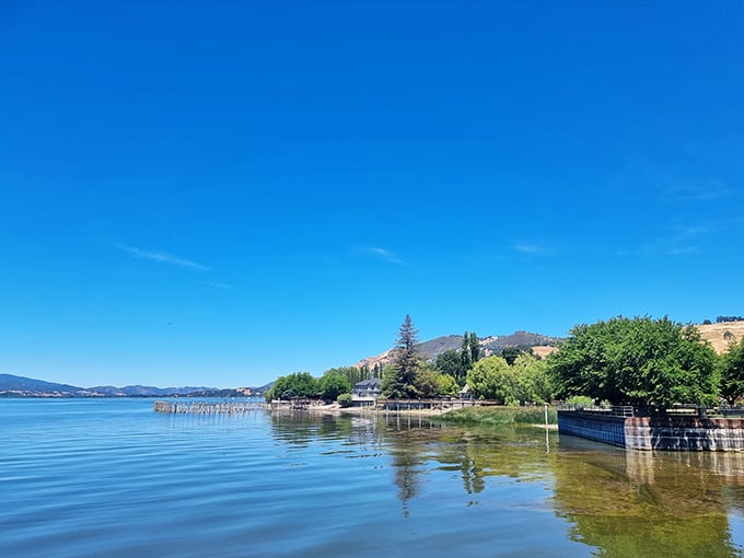 Morning reflections on Clear Lake create the kind of serenity that meditation apps try desperately to simulate. Nature's own stress reliever.