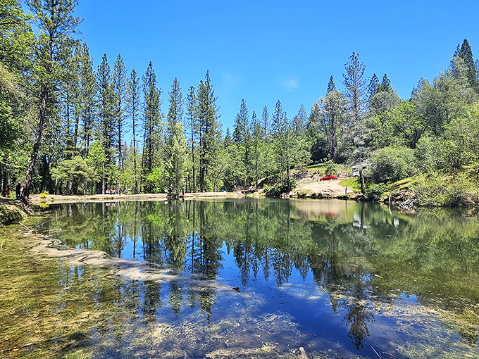 Mirror-like waters reflect towering pines at this serene Placerville swimming hole, where locals escape summer heat without battling coastal crowds or prices.