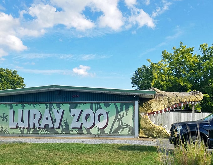The Luray Zoo entrance says it all&mdash;this isn't your average animal encounter, but a rescue mission with scales, feathers, and plenty of heart.
