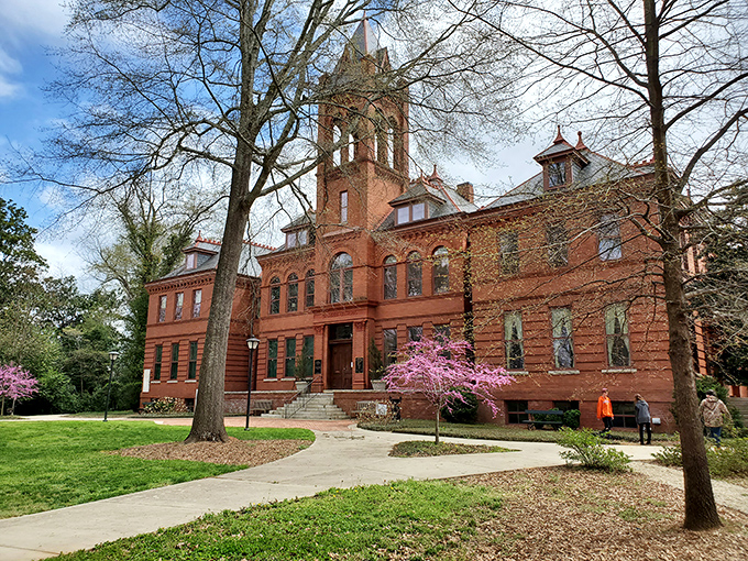 The Madison-Morgan Cultural Center stands as living proof that school buildings were once constructed like palaces. Those redbrick details!