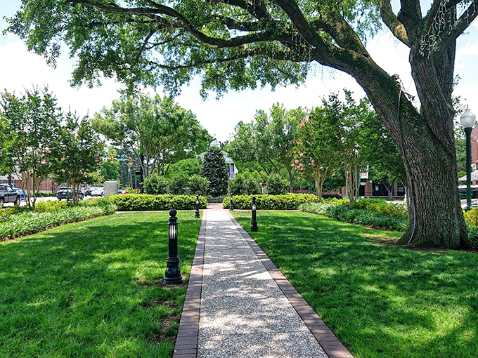 The lush green spaces of Summerville offer shady respite from summer heat – nature's air conditioning with better scenery.