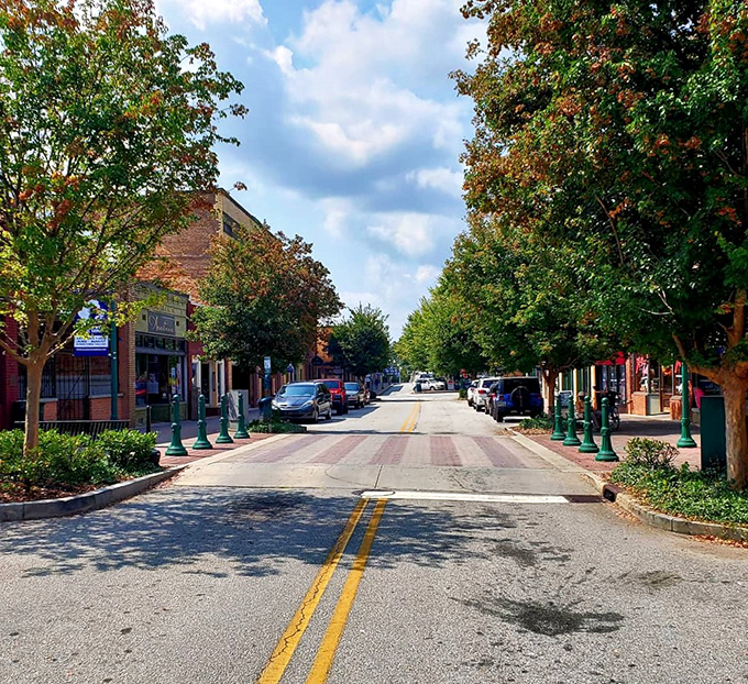 Tree-lined Doyle Street offers a masterclass in small-town America, where sunlight dapples historic facades that have witnessed generations of local stories.