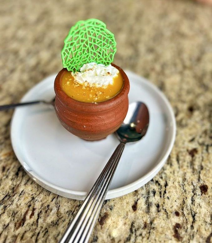 The legendary Mango Mutka arrives like a humble treasure chest of flavor. That delicate green garnish is the crown jewel atop this creamy, dreamy dessert worth driving miles for.