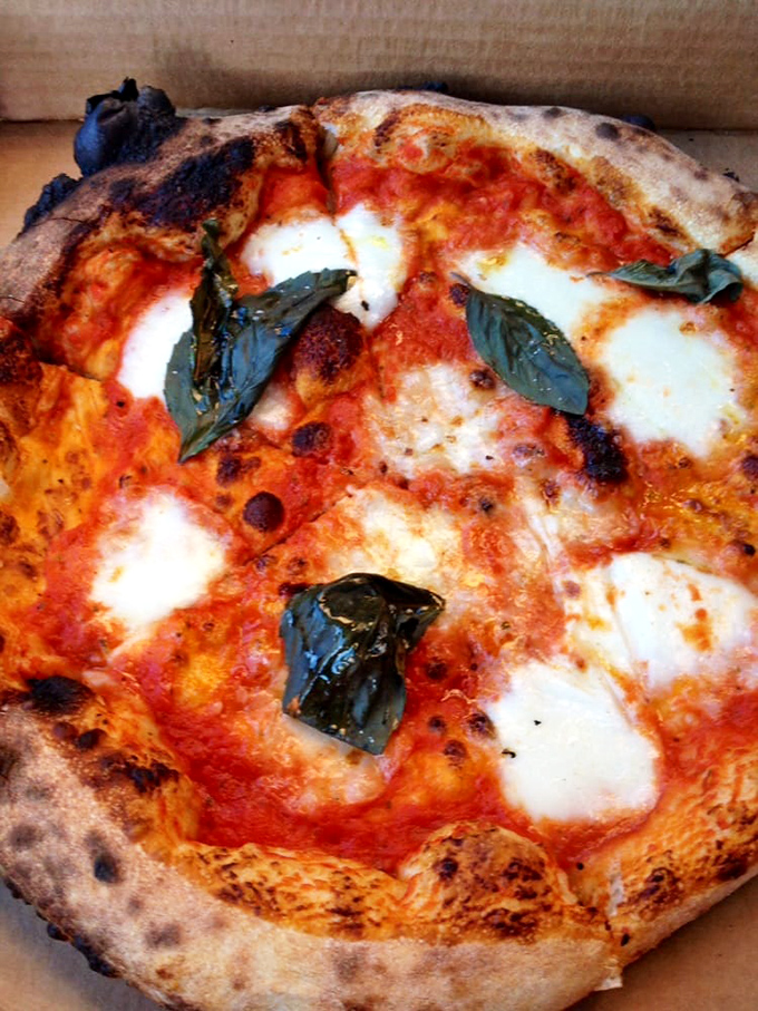 The Margherita pizza in all its glory: blistered crust, vibrant sauce, melty mozzarella, and basil that's practically doing a victory lap.