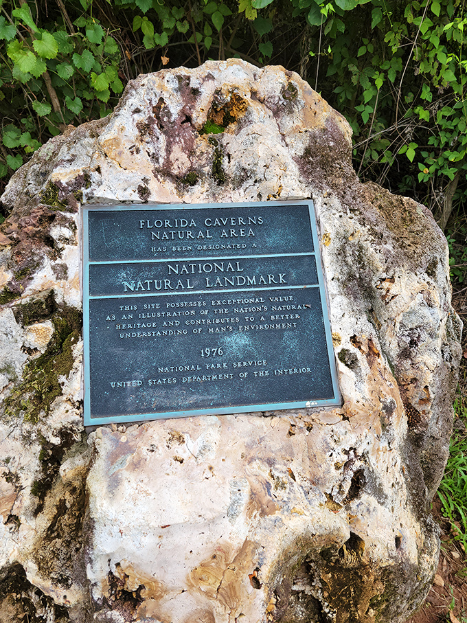 A testament to natural significance carved in stone. This National Natural Landmark designation confirms what visitors already know&mdash;this place is special.