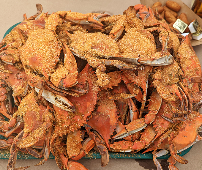 Maryland blue crabs, dusted with that magical spice blend, waiting for your mallet. This pile of orange-red treasures is what dreams are made of.