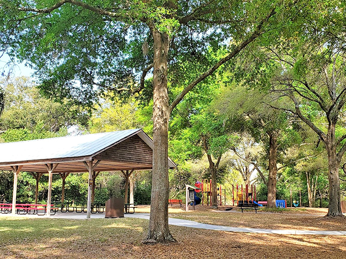 McTureous Memorial Park offers shaded pavilions perfect for community gatherings. No expensive entertainment needed when you've got trees this magnificent.