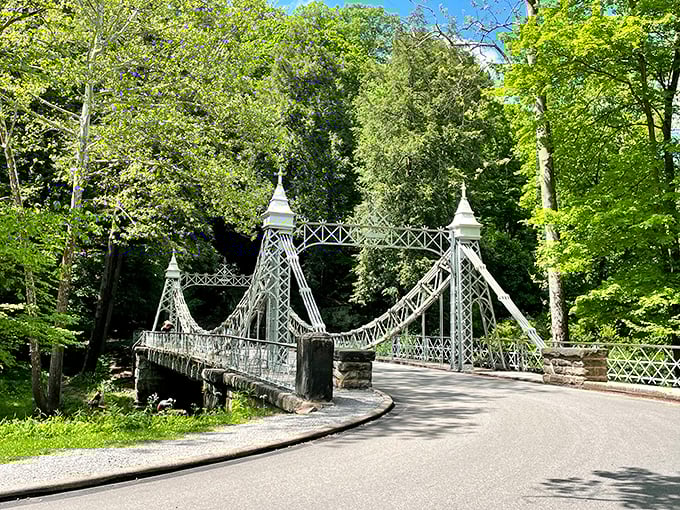 Mill Creek Park's suspension bridge offers Instagram-worthy views that won't cost you a dime.