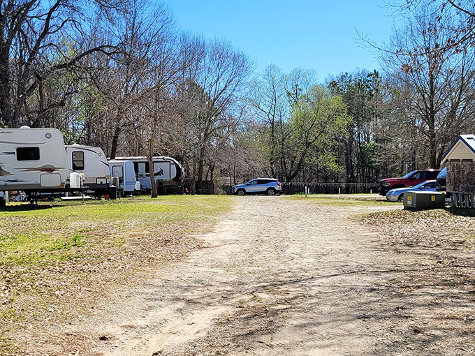 RV enthusiasts find peaceful respite at Mineola's campground, where modern nomads temporarily put down roots beneath East Texas pines.