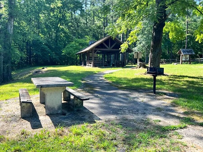 Molly's Rock Picnic Area offers a shaded retreat where picnic tables and pavilions invite you to slow down and stay awhile.