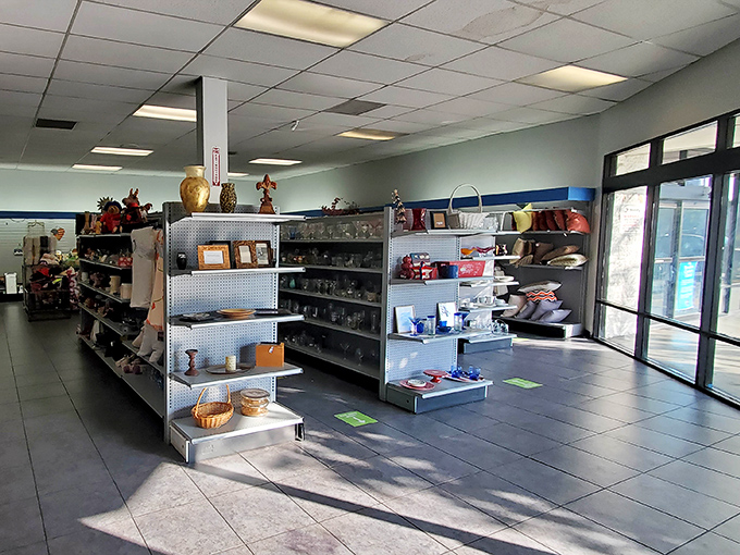 The housewares section: where someone else's "I don't need this anymore" becomes your "How did I live without this?" Retail therapy at recession-friendly prices.