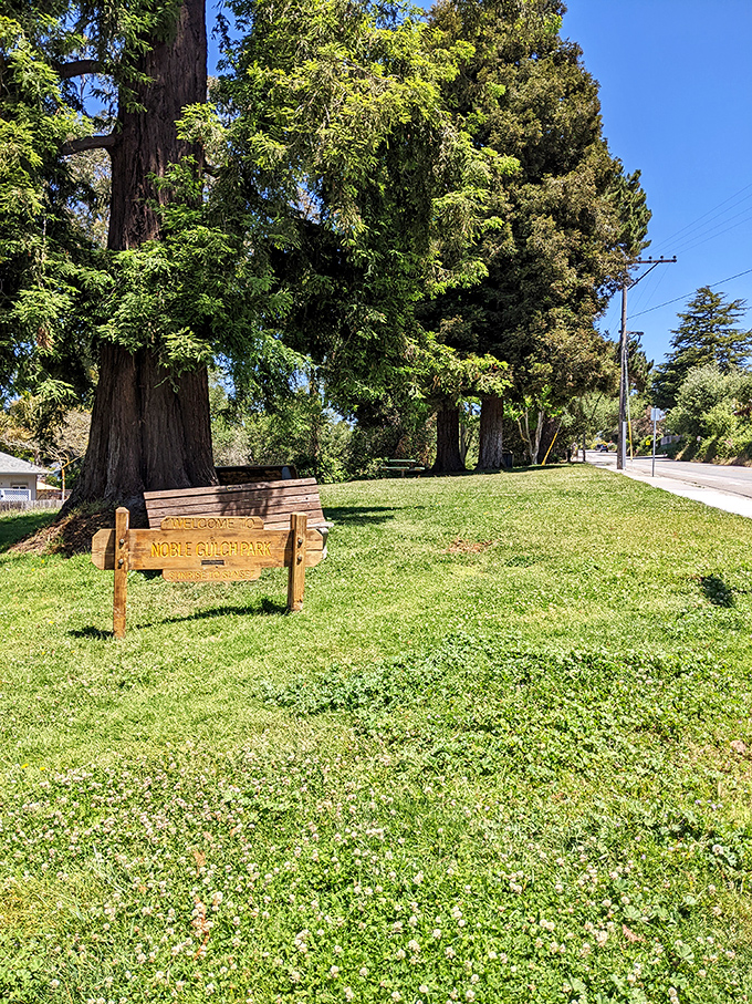 Noble Gulch Park offers a tranquil green escape under towering redwoods—nature's air conditioning on a warm California day.