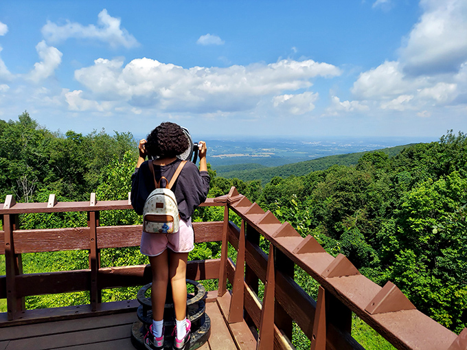 The payoff for climbing Chestnut Ridge? This breathtaking panorama stretching across the Laurel Highlands. After cave darkness, the vastness of Pennsylvania's landscape feels almost disorienting.